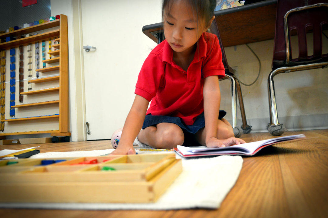 NewGate Montessori School Curriculum - The NewGate Montessori School